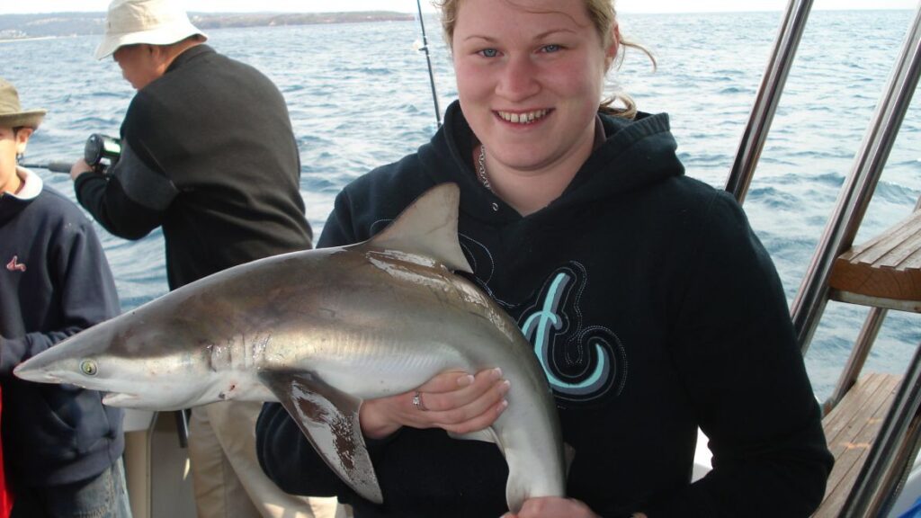 The Ultimate Guide to Fishing Charters on the Sapphire Coast ...